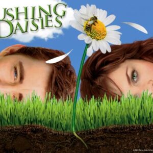 Pushing Daisies Season 1