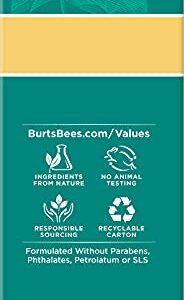 Burt's Bees Natural Acne Solutions Targeted and Minimizing Spot Treatment for Oily Skin, 0.26 Oz (Package May Vary)