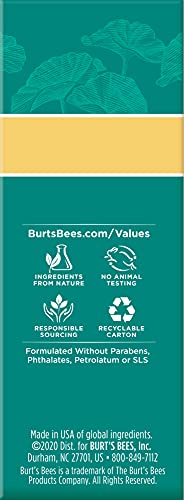 Burt's Bees Natural Acne Solutions Targeted and Minimizing Spot Treatment for Oily Skin, 0.26 Oz (Package May Vary)