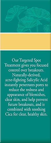 Burt's Bees Natural Acne Solutions Targeted and Minimizing Spot Treatment for Oily Skin, 0.26 Oz (Package May Vary)