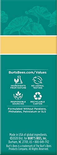 Burt's Bees Natural Acne Solutions Targeted and Minimizing Spot Treatment for Oily Skin, 0.26 Oz (Package May Vary)