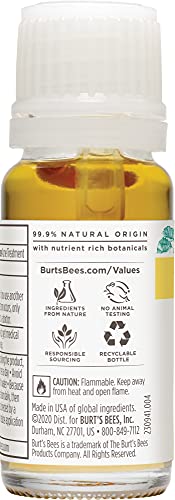 Burt's Bees Natural Acne Solutions Targeted and Minimizing Spot Treatment for Oily Skin, 0.26 Oz (Package May Vary)