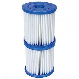 pool filter cartg i 2pk