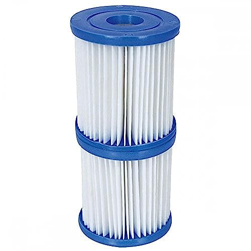 POOL FILTER CARTG I 2PK