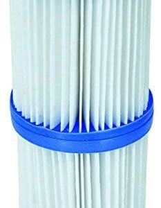 POOL FILTER CARTG I 2PK