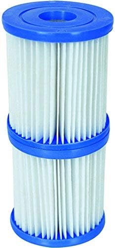 POOL FILTER CARTG I 2PK