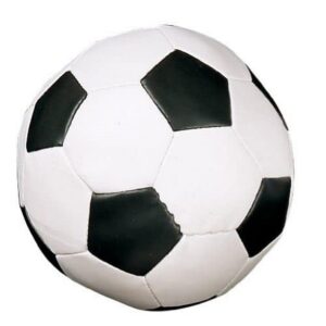 champion sports 8 inch soft sport soccer ball