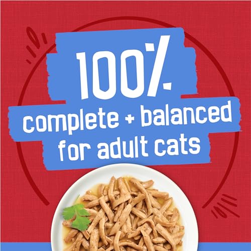 Purina Friskies Gravy Wet Cat Food, Shreds With Beef in Gravy - (Pack of 24) 5.5 oz. Cans