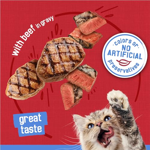 Purina Friskies Gravy Wet Cat Food, Shreds With Beef in Gravy - (Pack of 24) 5.5 oz. Cans