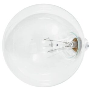 Philips 60w 120v G40 DuraMax Clear E26 Decorative Incandescent Light Bulb