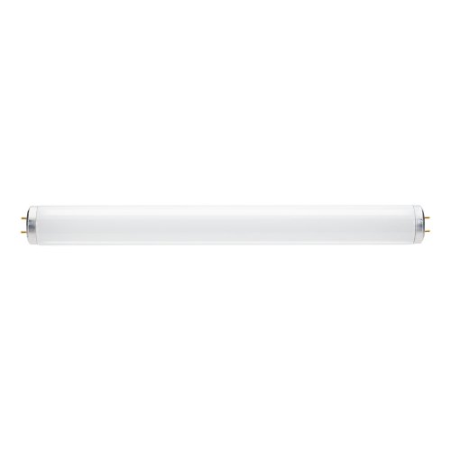 Philips 141507 Linear Fluorescent 14-Watt 15-Inch T12 Soft White Light Bulb