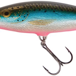 Rapala Deep Tail Dancer 11 Fishing lure, 4.375-Inch, Rainbow Trout