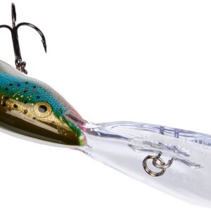 Rapala Deep Tail Dancer 11 Fishing lure, 4.375-Inch, Rainbow Trout