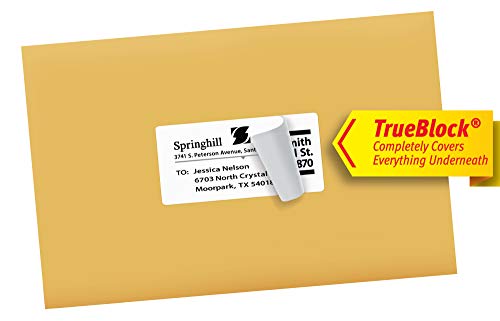 Avery Printable Shipping Labels with Sure Feed, 2" x 4", White, 500 Blank Mailing Labels (8363)