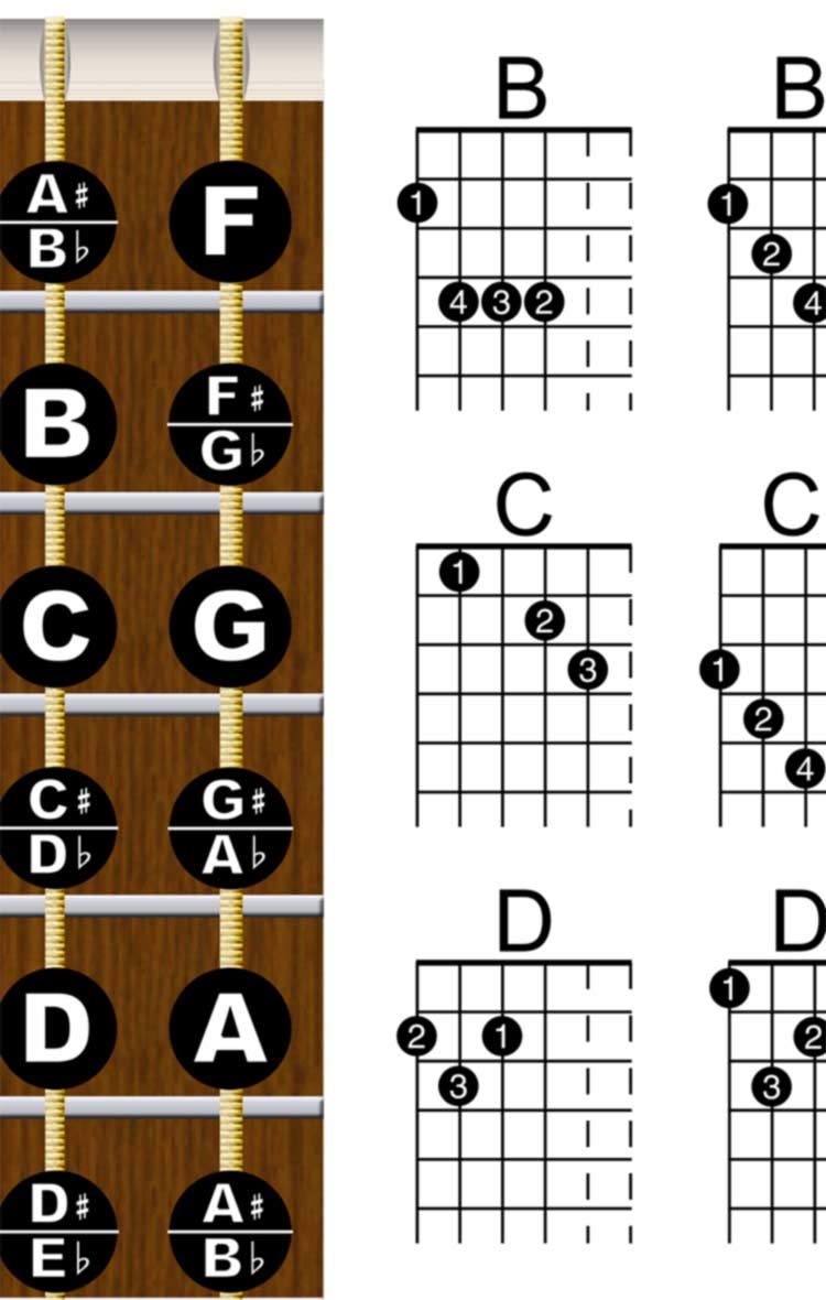 Left Handed Guitar Fretboard & Chord Chart - Instructional Poster for Left Hand Beginner 11"x17" Easy | A New Song Music