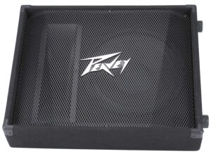 peavey pv 12m 2-way floor monitor