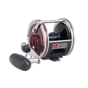 penn special senator star drag conventional nearshore/offshore fishing reel, ht-100 star drag, max of 20lb | 9.0kg, machined and anodized aluminum spool, multicolor