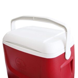 igloo island breeze 28 qt. cooler