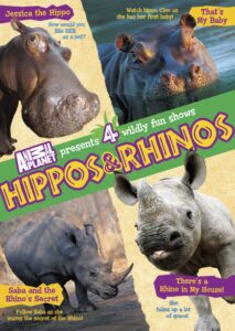 hippos & rhinos