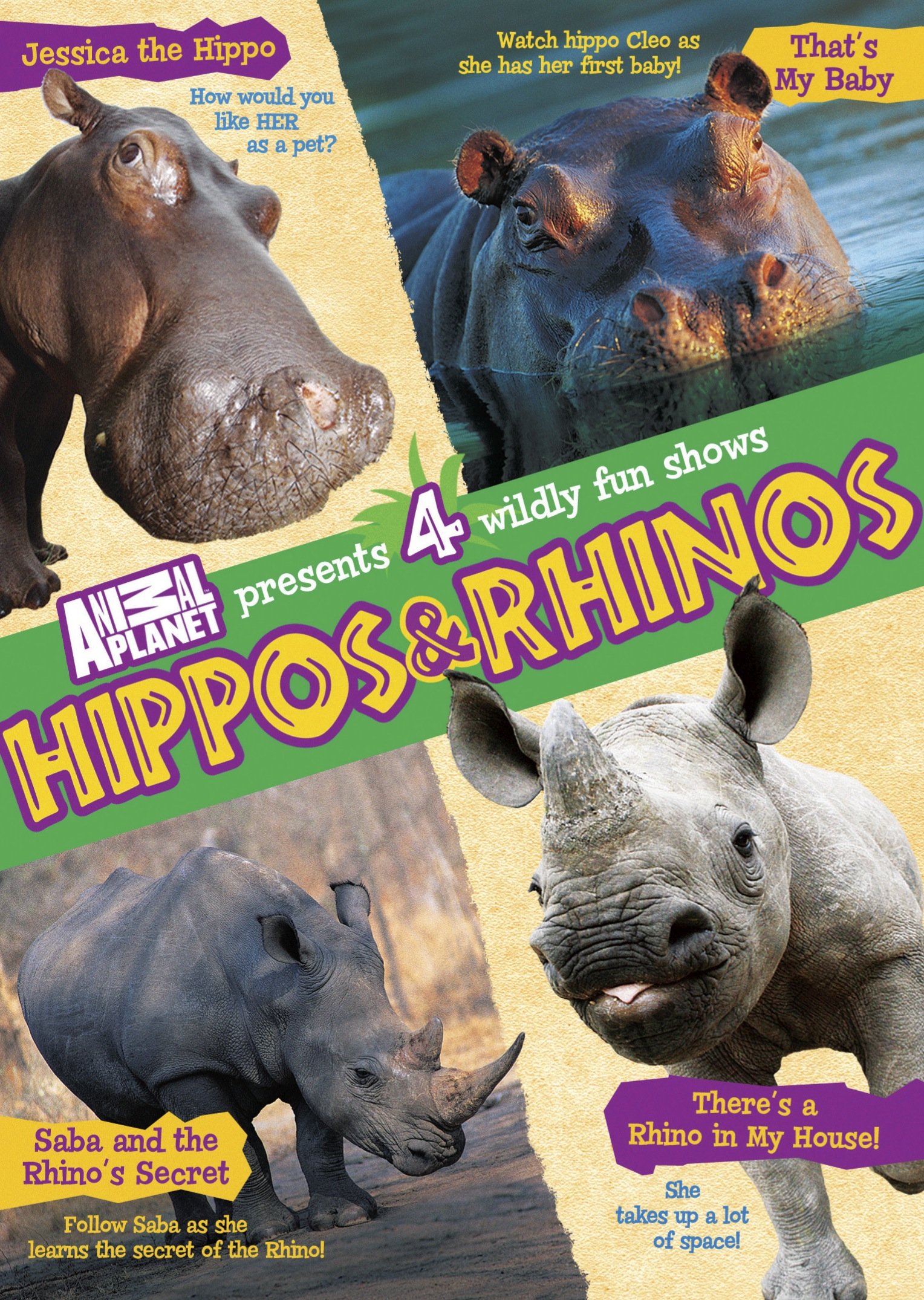 Hippos & Rhinos