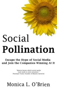 social pollination: escape the hype of social media and join the companies winning at it