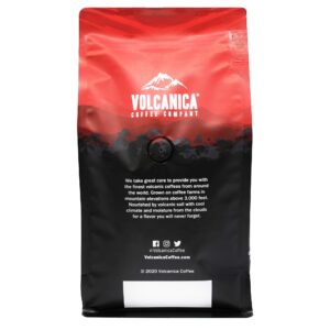 Tanzania Peaberry Coffee, Mount Kilimanjaro, Whole Bean, Fresh Roasted, 16-ounce