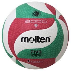 molten official norceca volleyball