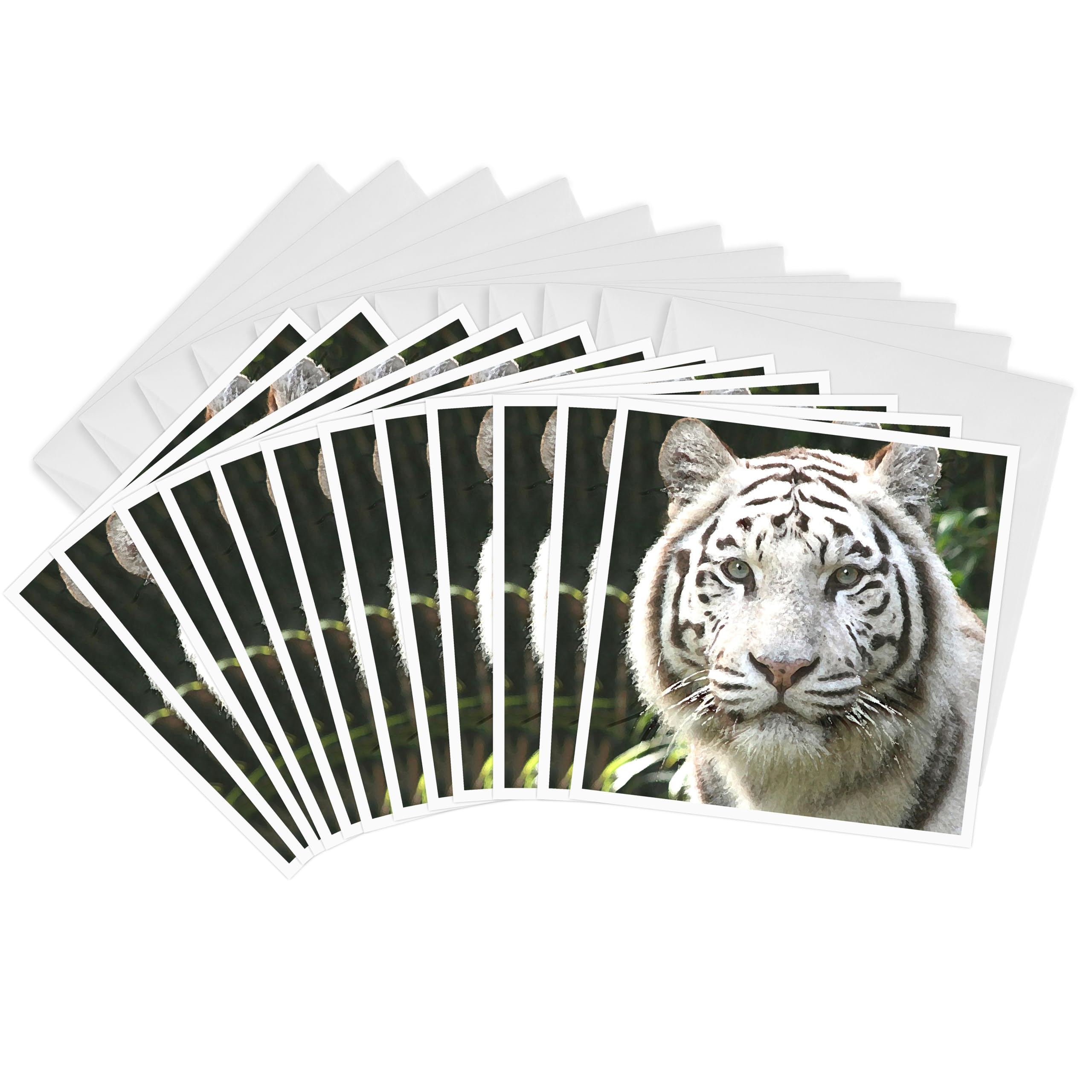 3dRose White Tiger 6 x 6 Inches Greeting Cards, Set of 12 (gc_4845_2)