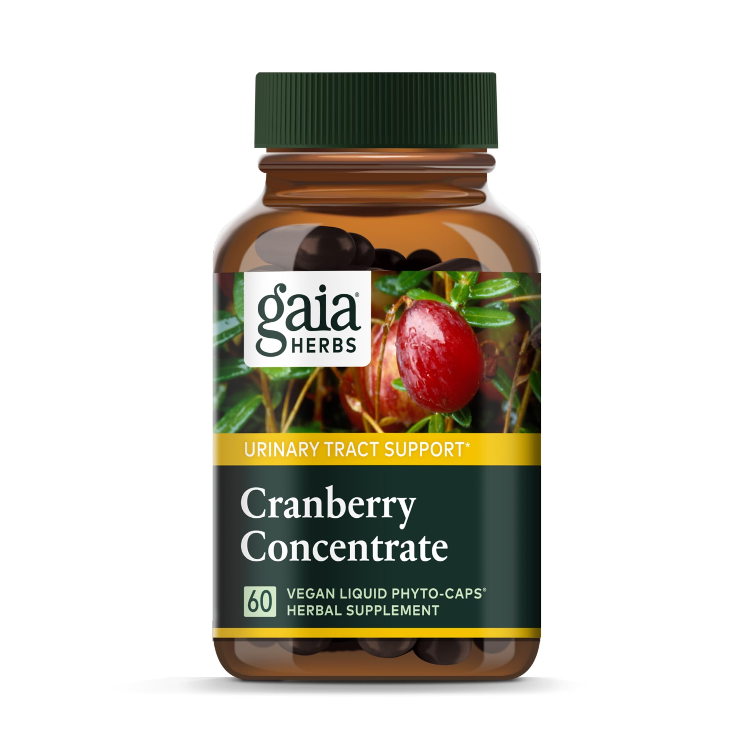 Gaia Herbs Cranberry Concentrate - Helps Maintain Urinary Tract Health - Made with Organic Cranberry Fruit Juice Extract in Convenient Capsules - 60 Vegan Liquid Phyto-Capsules (30-Day Supply)