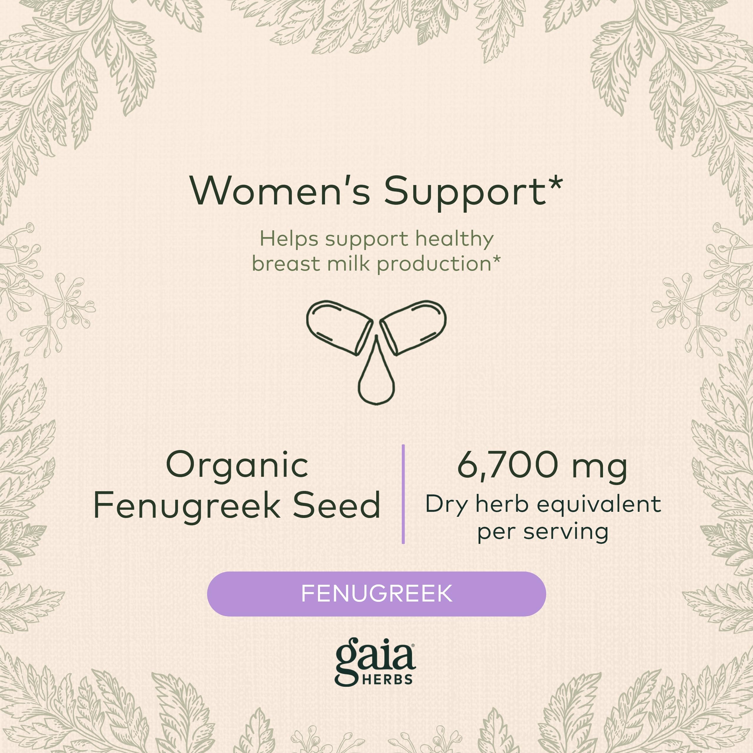 Gaia Herbs Fenugreek Seed - Helps Support Healthy Lactation and Breast Milk Production* - Made with Organic Fenugreek Seeds - 60 Vegan Liquid Phyto-Capsules (Up to 15-Day Supply)