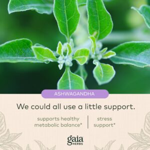 Gaia Herbs Thyroid Support - Made with Ashwagandha, Kelp, Brown Seaweed, and Schisandra to Support Healthy Metabolic Balance and Overall Well-being - 120 Vegan Liquid Phyto-Capsules (40-Day Supply)