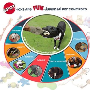 Ethical Pet Interactive Seek-A-Treat Flip 'N Flap Bone Dog Toy Puzzle That Will Improve Your Dog's IQ. Specially Designed for Dog Training Treats., Multicolor; 1.65 pounds (5652)