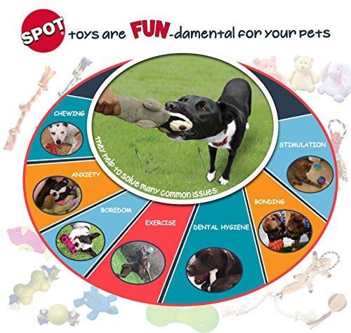 Ethical Pet Interactive Seek-A-Treat Flip 'N Flap Bone Dog Toy Puzzle That Will Improve Your Dog's IQ. Specially Designed for Dog Training Treats., Multicolor; 1.65 pounds (5652)