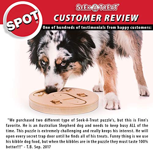 Ethical Pet Interactive Seek-A-Treat Flip 'N Flap Bone Dog Toy Puzzle That Will Improve Your Dog's IQ. Specially Designed for Dog Training Treats., Multicolor; 1.65 pounds (5652)