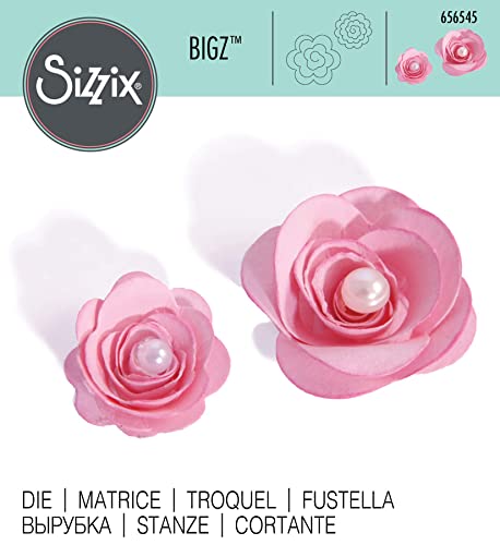 Sizzix Bigz Die - Flowers, 3-D by Beth Reames