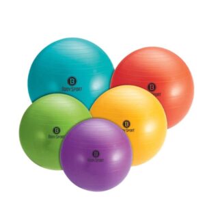 Body Sport Slow Release 65cm Exercise Ball with Pump, Gym Equipment for Home or Office, Stability Fitness Ball, Pregnancy Ball, Core Strength Training Equipment