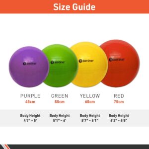 Body Sport Slow Release 65cm Exercise Ball with Pump, Gym Equipment for Home or Office, Stability Fitness Ball, Pregnancy Ball, Core Strength Training Equipment