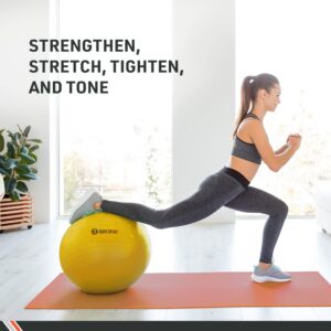 Body Sport Slow Release 65cm Exercise Ball with Pump, Gym Equipment for Home or Office, Stability Fitness Ball, Pregnancy Ball, Core Strength Training Equipment