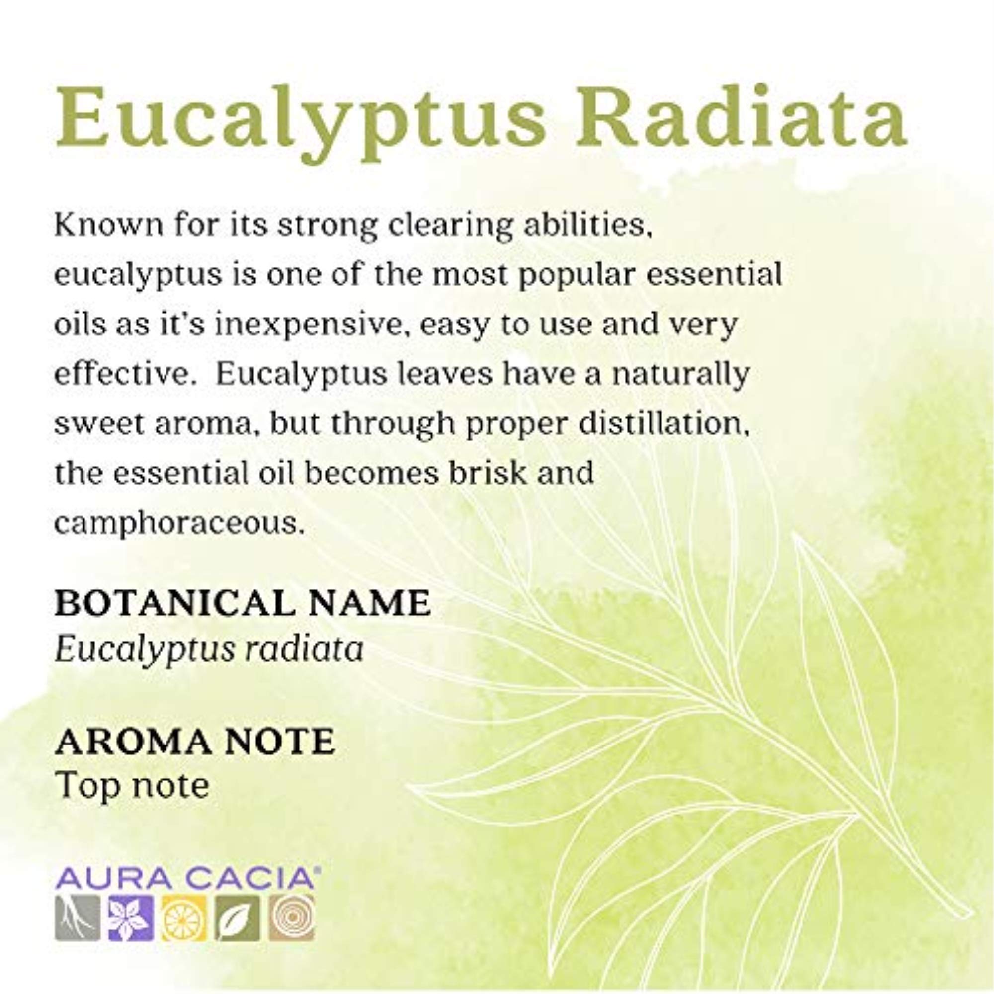 Aura Cacia Certified Organic Pure Eucalyptus Essential Oil | 0.25 fl. oz. | Eucalyptus radiata