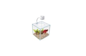 marina cubus glass betta kit – elegant glass aquarium for homes or offices