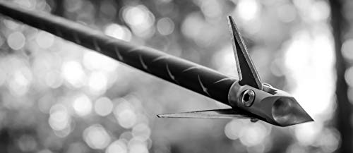 Ramcat Pivoting Broadheads (Hydroshock - 100 Grain)