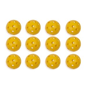 champion sports 9" hollow plastic baseballs - athletic baseball equipment - regulation size balls - fun for all ages - lightweight/durable - pack of 12 yellow