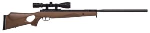 benjamin trail np xl air rifle air rifle