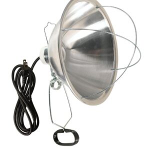 Woods Clamp Lamp with 10 Inch Reflector and Bulb Guard (300 Watt Bulb, 6 Foot Cord)