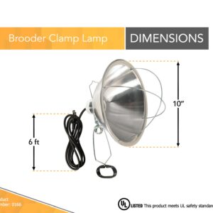 Woods Clamp Lamp with 10 Inch Reflector and Bulb Guard (300 Watt Bulb, 6 Foot Cord)