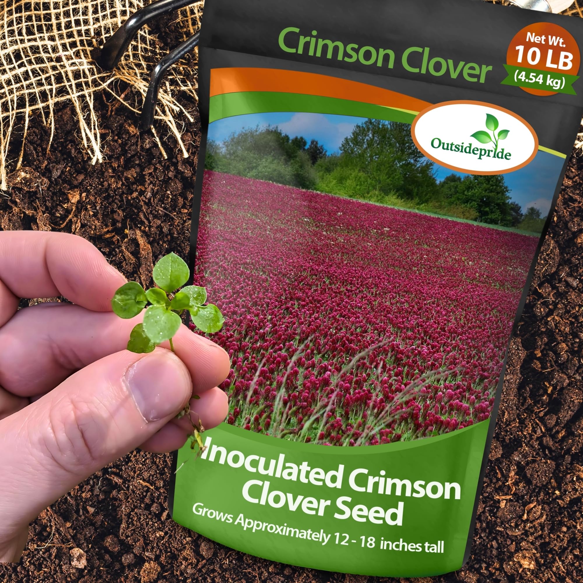 Outsidepride Crimson Clover Seeds - 10 lbs. Annual, Nitrocoated, & Inoculated Ground Cover Seeds, Ideal Clover Seed for Lawn, Cover Crop, Pasture, Hay, Green Manure & Wildlife Forage