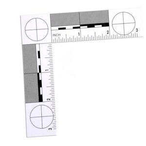 no. 2 photomacrographic scale (inches)