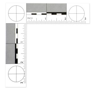 No. 2 Photomacrographic Scale (Inches)