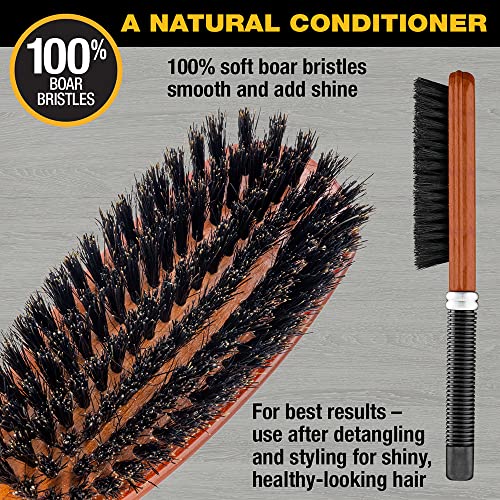 Conair All Purpose Boar Bristle hairbrush - Hair brush - Hairbrush for Men and Women - Brown