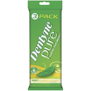 dentyne pure gum, mint with melon accents, 3-count packs (pack of 5)